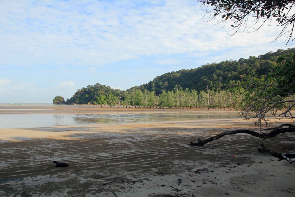 Bako National Park Travel Guide | Sarawak - PlacesofJuma