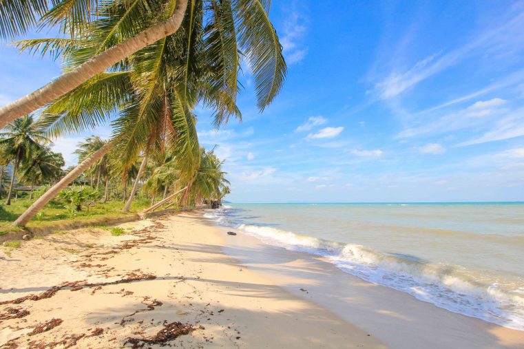 Unique Things to do in Koh Samui - A perfect Travel Guide - PlacesofJuma