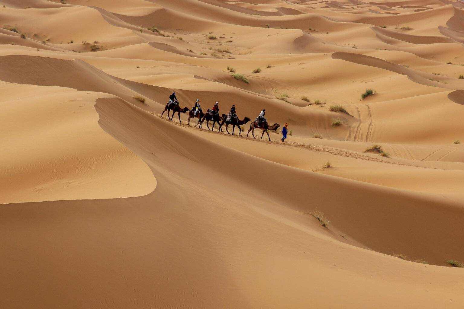 Tiger Cave Temple (Wat Tham Sua) in Krabi - PlacesofJuma