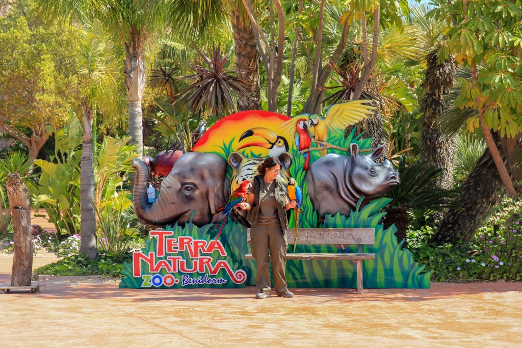 15 Unique Things to Do in Benidorm - PlacesofJuma