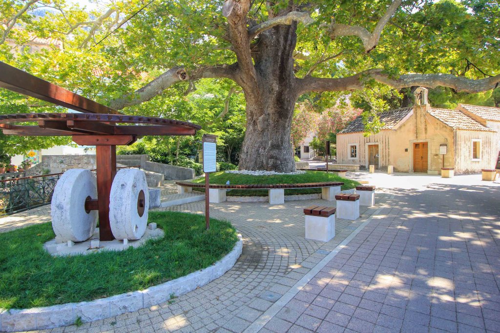 Mlini: A Vacation Pearl near Dubrovnik! - PlacesofJuma