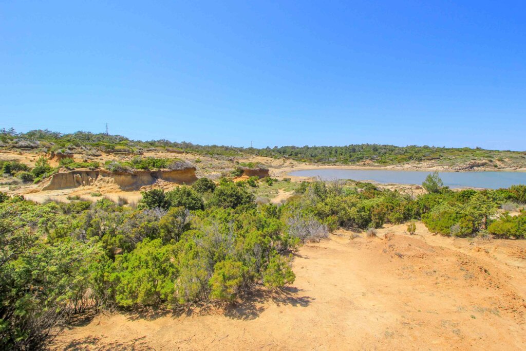 Rab Island: The Happy Island in Croatia! - PlacesofJuma