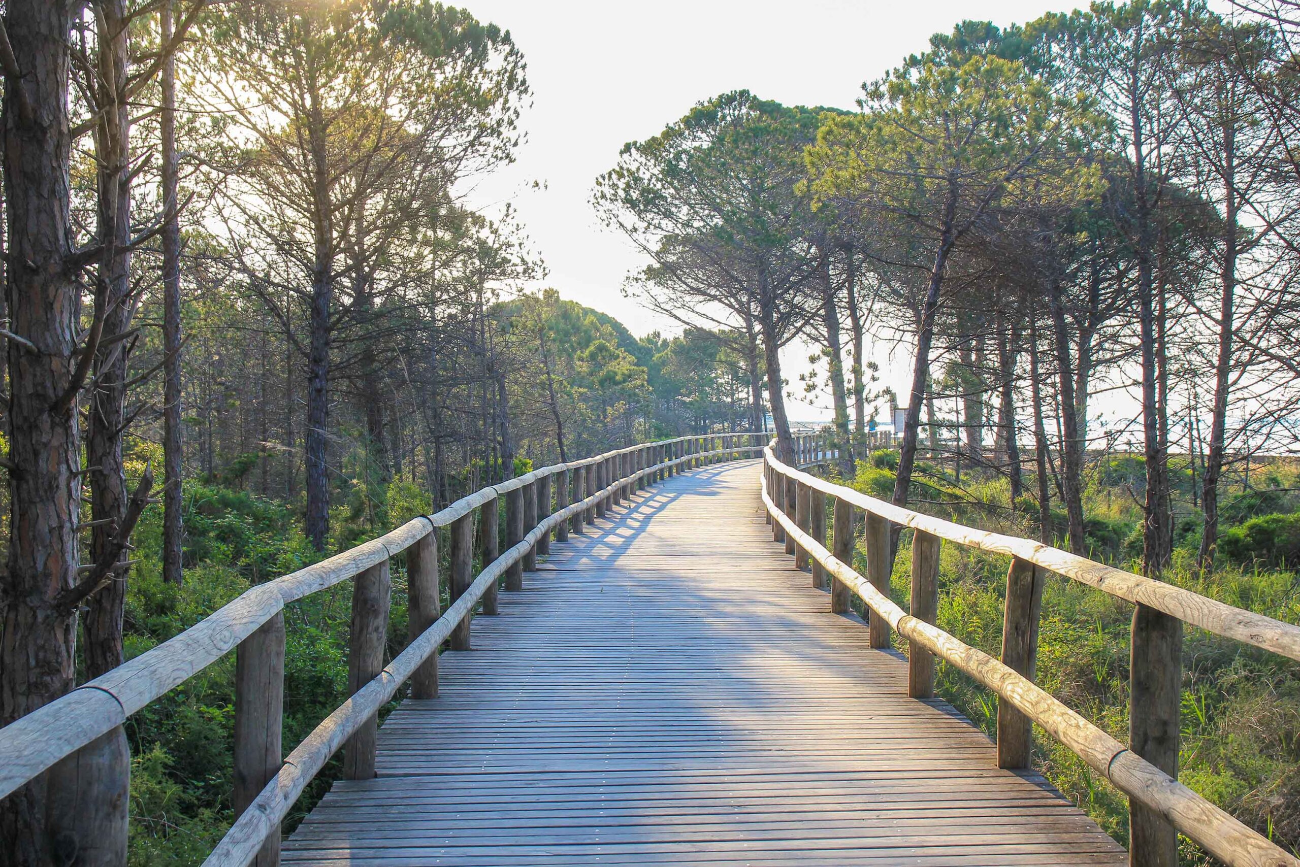Bibione: Top 10 Sehenswürdigkeiten & Geheimtipps! - PlacesofJuma